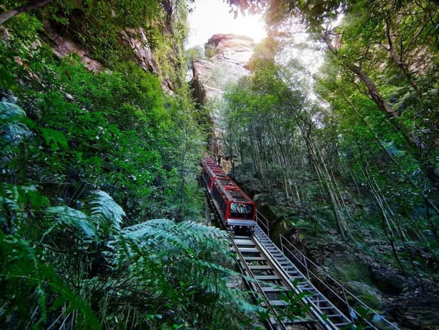 Combo: Blue Mountain Tour + Sydney Hop-on-Hop-off Bus Ticket - Scenic World: A Thrilling Ride into the Wilderness
