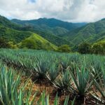 Combo Extreme Adventure + San Sebastian - Who Will Love This Tour?