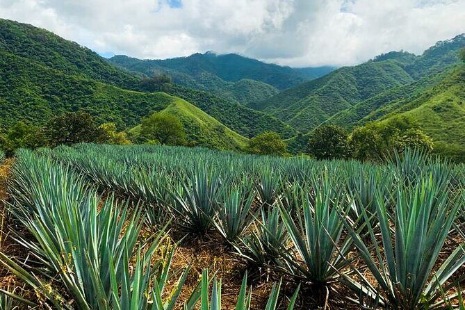 Combo Extreme Adventure + San Sebastian - Who Will Love This Tour?