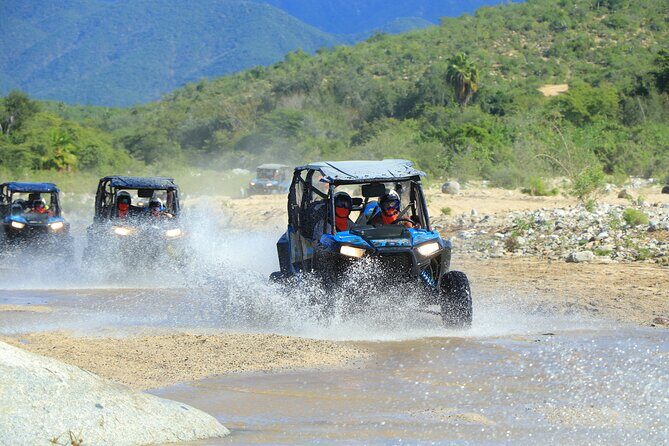 Combo Off Road 4x4 UTV Camel Ride Lunch and Tequila Tasting - Authenticity and Reliability