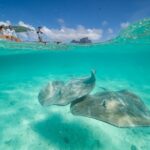 Combo snorkeling + motu lunch + jet ski group tour full day - The Jet Ski Adventure: Fun on the Water