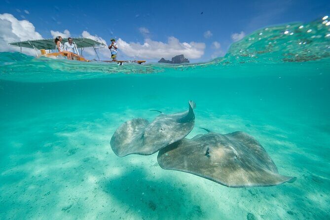 Combo snorkeling + motu lunch + jet ski group tour full day - The Jet Ski Adventure: Fun on the Water