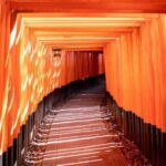 Compact Kyoto day tour experience - Logistics, Pricing, and Value