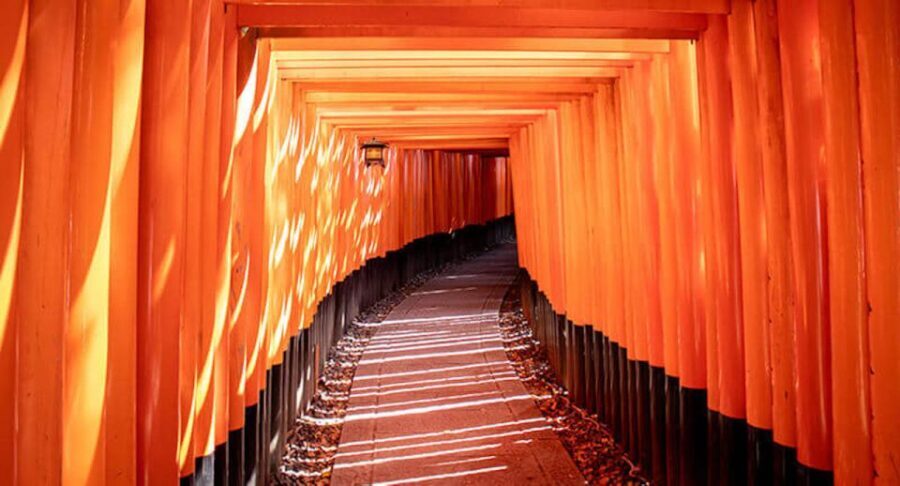 Compact Kyoto day tour experience - Logistics, Pricing, and Value