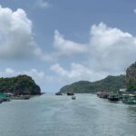 Con Dao Island Turtle Hatchery Visit & Coral Snorkeling Tour - The Value in Context