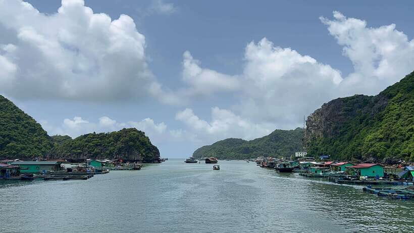 Con Dao Island Turtle Hatchery Visit & Coral Snorkeling Tour - The Value in Context
