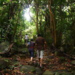 Con Dao: Journey Through So Ray  A Natural Wonder - What Makes This Tour Stand Out?