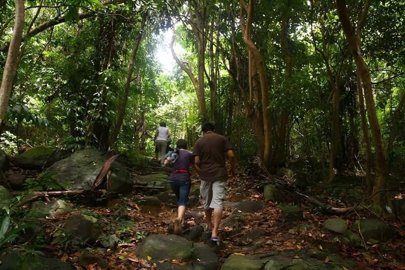 Con Dao: Journey Through So Ray  A Natural Wonder - What Makes This Tour Stand Out?
