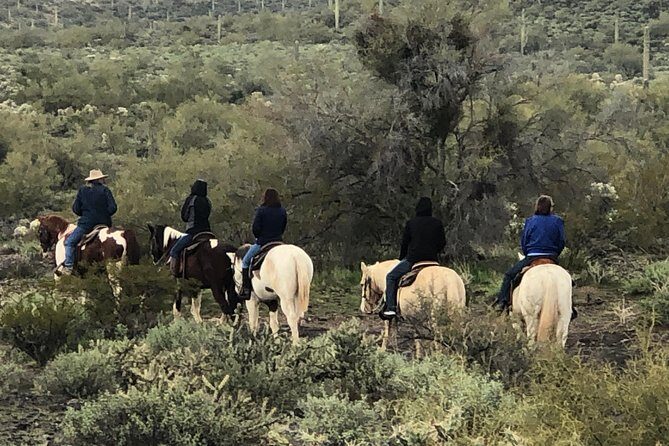 Contact us to book your time. Best Trail Rides in Arizona. - The Guide and Education