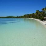Contoy Island Tour from Playa del Carmen & Cancun - What You’ll Really Value