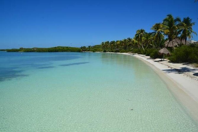 Contoy Island Tour from Playa del Carmen & Cancun - What You’ll Really Value