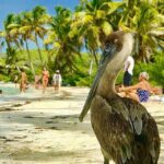 Contoy Reef & Isla Mujeres Tour! From Cancun & Playa del Carmen - Practical Details and What It Means for You