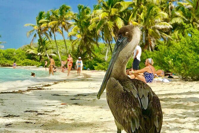 Contoy Reef & Isla Mujeres Tour! From Cancun & Playa del Carmen - Practical Details and What It Means for You