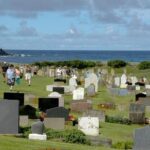 Convict Kingston Tour - What the Reviews Tell Us: Authentic Perspectives