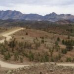 Coober Pedy: 7-Day Lake Eyre & Flinders Ranges 4WD Tour - Heading Into the Heart of the Outback: William Creek and Lake Eyre
