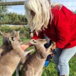 Coonawarra: Caves, Cabernet, & Kangaroos Day Tour & Lunch - Analyzing the Value — Is It Worth It?