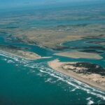 Coorong 3 & 1/2 Lunch Cruise and Tour - Authentic Experiences and Practical Details