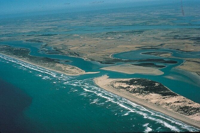 Coorong 3 & 1/2 Lunch Cruise and Tour - Authentic Experiences and Practical Details