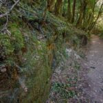 Copeland Tops National Park: Mountain Maid Gold Mine Tour - Who Should Book This Tour?