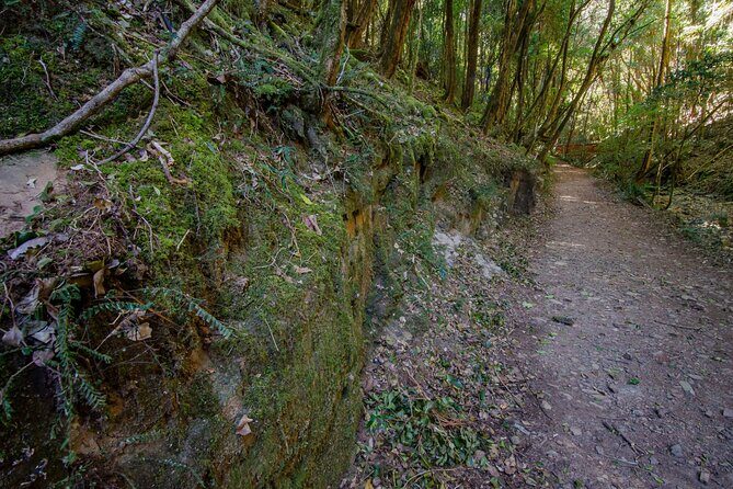 Copeland Tops National Park: Mountain Maid Gold Mine Tour - Who Should Book This Tour?