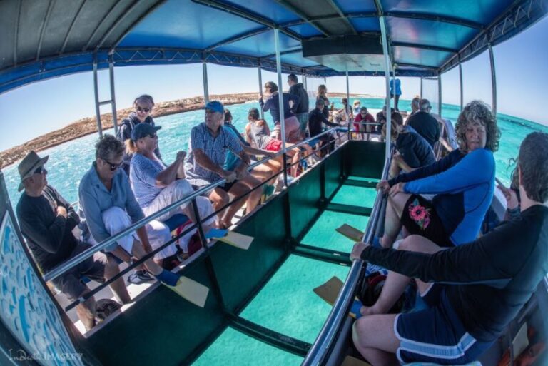 Coral Bay: 2-Hour Coral Viewing and Snorkeling - Authentic Experiences as Highlighted by Reviews