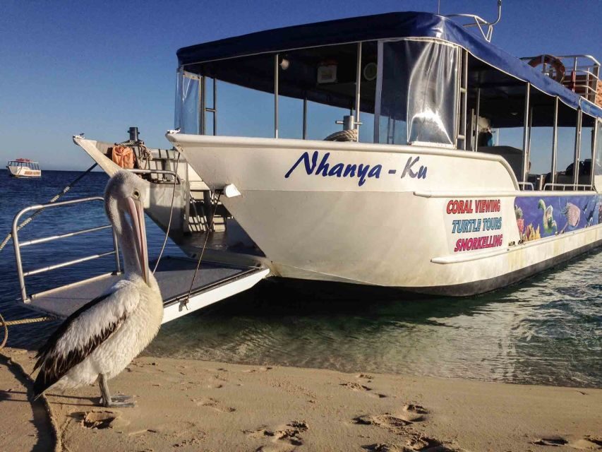 Coral Bay Glass-Bottom Boat Tour - The Sum Up