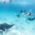 Coral Bay: Marine Eco Safari - Swim With Manta Rays - Concluding Thoughts: Who Will Love This Experience?