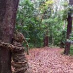 Coral Coast sand dunes & Natadola Beach trip - Authentic Traveler Insights