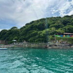 Coral island guayabitos beach and snorkeling - What to Expect from the Tour