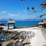 Coral Reef Snorkeling and Floating Bar Party from Nha Trang - Who Will Love This Tour?