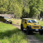 Cordoba: Guided Jeep Tour in Stanislaus National Forest - The Value and Practicalities