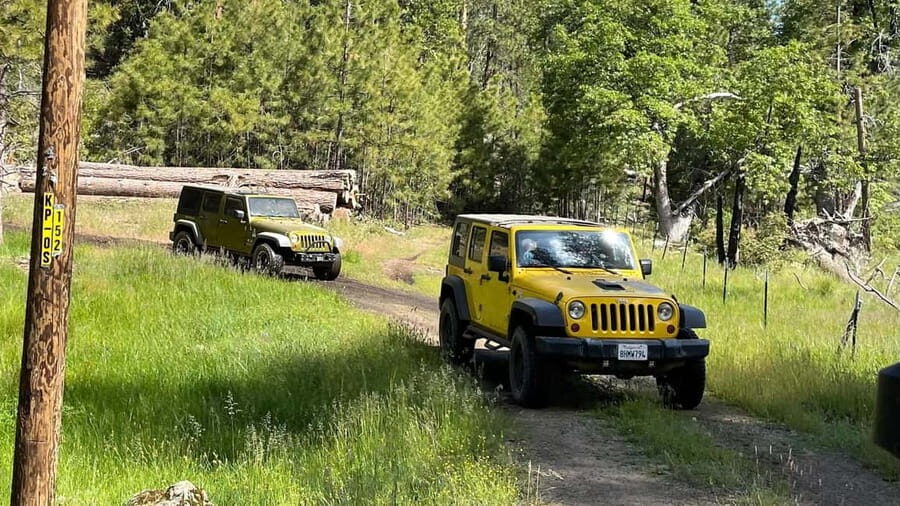 Cordoba: Guided Jeep Tour in Stanislaus National Forest - The Value and Practicalities