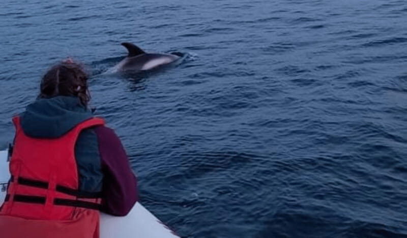 Corner Brook: Woods Island Adventure 3-Hour Zodiac Tour - What to Expect on the Tour