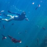 Coromandel Adventure and Wildlife Boat Tour to Aldermen Islands - Final Thoughts