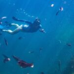 Coromandel: Aldermen Islands Marine Reserve Wildlife Cruise - Who Will Enjoy This Tour?
