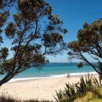Coromandel Cathedral Cove Walk & Hot Water Beach Day Tour - Who Should Consider This Tour?