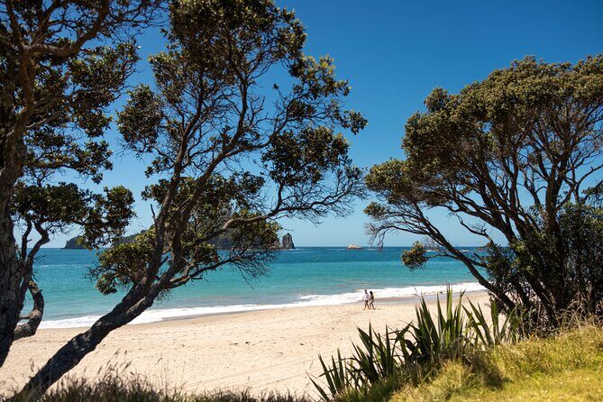 Coromandel Cathedral Cove Walk & Hot Water Beach Day Tour - Who Should Consider This Tour?