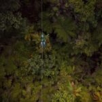 Coromandel: Guided Zipline Tour Experience - An In-Depth Look at the Coromandel Zipline Experience