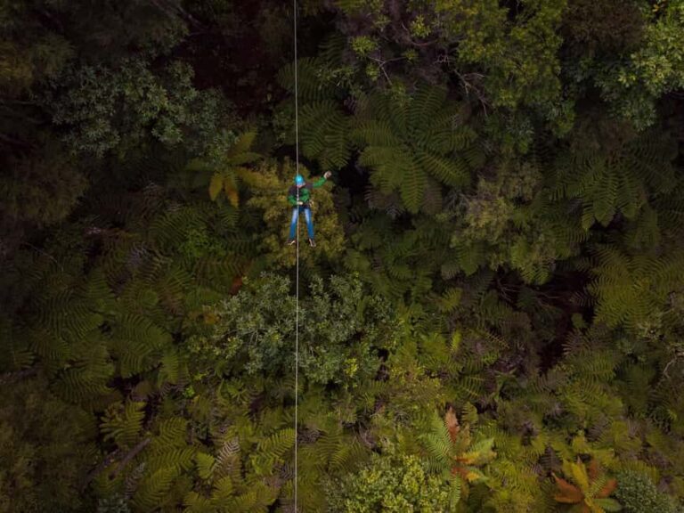 Coromandel: Guided Zipline Tour Experience - An In-Depth Look at the Coromandel Zipline Experience