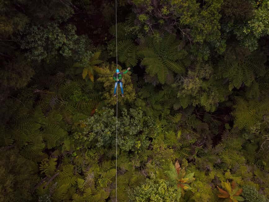 Coromandel: Guided Zipline Tour Experience - An In-Depth Look at the Coromandel Zipline Experience
