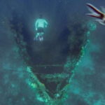 Coron: Barracuda Lake, Skeleton Wreck, Twin Lagoon Boat Tour - What’s Included and What to Bring