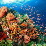 Coron Island Tour A (Shared Tour) - Final Thoughts
