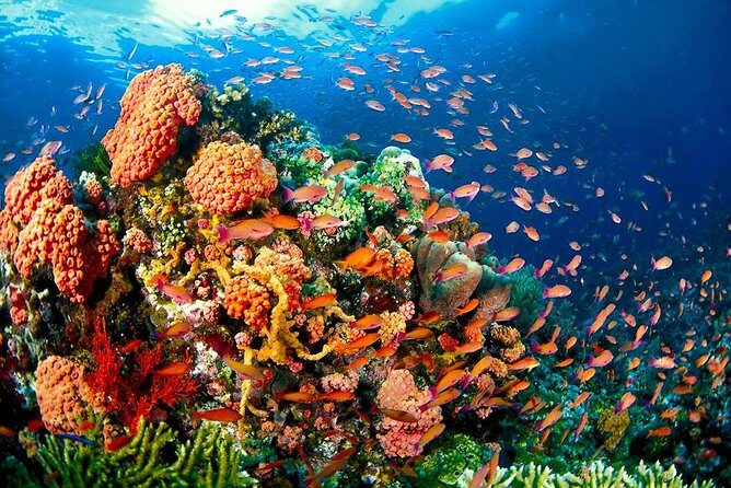 Coron Island Tour A (Shared Tour) - Final Thoughts