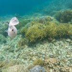 Coron Island Tour B (Private) - What’s Included & What’s Not