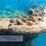 Coron Reef & Wrecks Tour - The Practicalities and Value