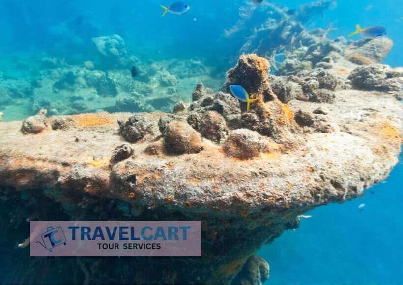 Coron Reef & Wrecks Tour - The Practicalities and Value
