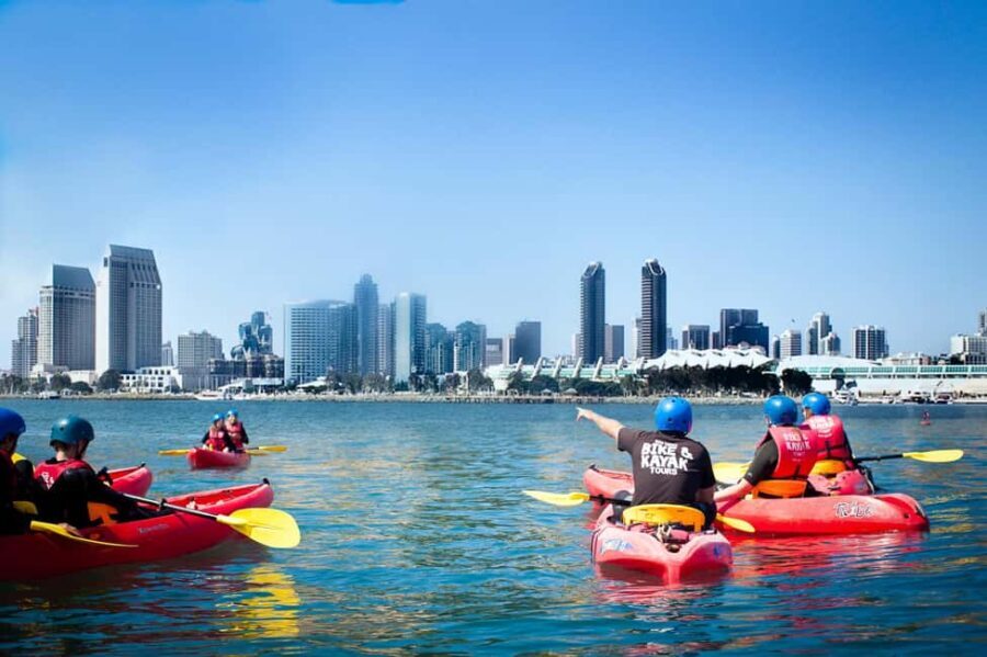 Coronado Guided Kayak Tour 90-Min - The Itinerary Breakdown