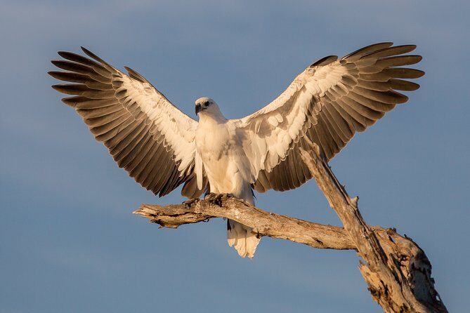 Corroboree Billabong Wetland Cruises - 2 hour Sunset Cruise - The Itinerary in Detail