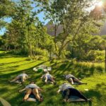 Cosmic Flow: Yoga, Meditation & Sound Healing in Zion - Who Will Love This?