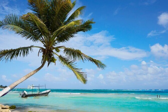 Costa Maya All Included Beach Break from Cruise Port - Facilities and Comfort